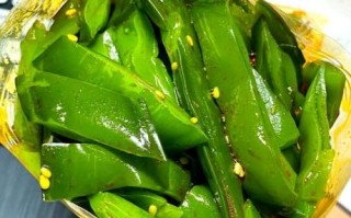 海白菜是什么_海白菜怎么吃