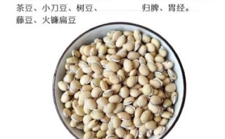 白扁豆不适合什么人吃_白扁豆禁忌人群有哪些