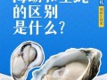 牡蛎是不是生蚝_生蚝和牡蛎的区别