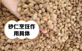 香砂和砂仁的区别_香砂与砂仁图片对比