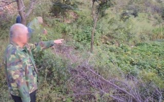 玉米地挖出250万现金_怎么处理