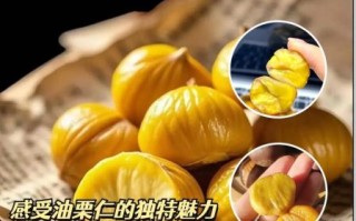 板栗仁的功效与作用_怎么吃最养脾胃