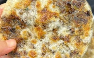 梅干菜饼怎么做_梅干菜饼热量高吗