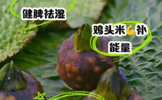 鸡头米的功效与作用_鸡头米怎么吃最养脾胃