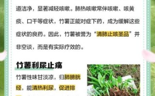 竹薯怎么吃_竹薯的功效与作用