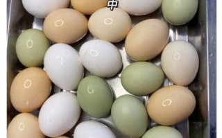腌鸡蛋用什么容器最好_腌鸡蛋容器选择技巧