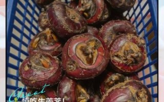 马蹄寄生虫是真的吗_马蹄怎么清洗才安全