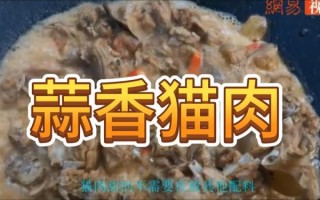 猫肉怎么做好吃_猫肉的家常做法大全
