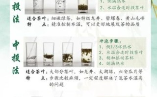 绿茶怎么喝才正确方法_绿茶一天喝多少毫升最好