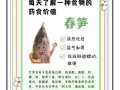 竹笋的营养价值高吗_竹笋有哪些营养成分