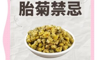 胎菊泡水喝的禁忌_哪些人不能喝胎菊茶