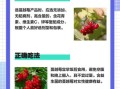 蔓越莓哪些人不能吃_蔓越莓禁忌人群