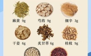 小青龙汤怎么熬_小青龙汤配方比例