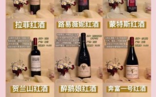 葡萄酒哪个牌子好喝_适合新手的高性价比品牌