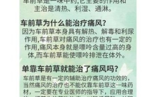 车前草煮水泡脚治痛风有效吗_车前草泡脚多久见效