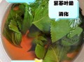 紫苏叶泡水喝对妇科病有没有疗效_紫苏叶水能调理妇科炎症吗
