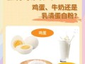 蛋清粉可以代替蛋清吗_蛋清粉与蛋清区别