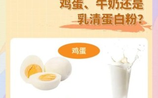 蛋清粉可以代替蛋清吗_蛋清粉与蛋清区别