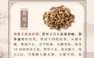 鼻炎偏方香油苍耳子有效吗_怎么用