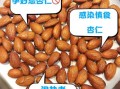 女性吃杏仁每天吃几粒_吃杏仁会发胖吗