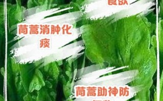 茼蒿吃了有什么好处_茼蒿营养价值高吗