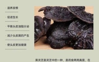 黑灵芝的功效与作用_黑灵芝怎么吃效果最好