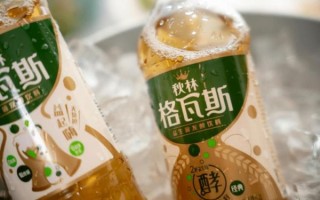 格瓦斯饮料是什么味道_格瓦斯饮料好喝吗