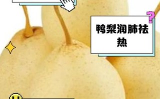 鸭梨上火吗_鸭梨怎么吃最润肺
