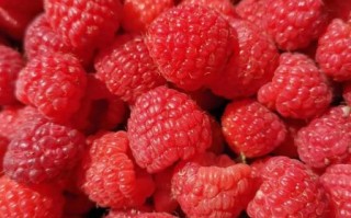 红树莓图片_红树莓的功效与作用