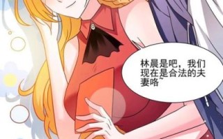 黄金蛋炒饭叶寒小说结局_叶寒为什么突然消失