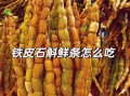 铁皮石斛的正确吃法_铁皮石斛一天吃多少克