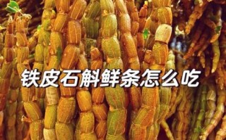 铁皮石斛的正确吃法_铁皮石斛一天吃多少克