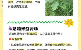 姑娘果孕妇能吃吗_姑娘果的功效与作用