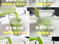 鲜榨果汁杯子怎么选_鲜榨果汁杯子哪种材质好