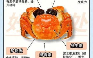 公蟹和母蟹的区别_如何挑选肥美螃蟹