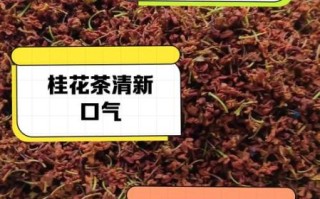 鲜桂花怎么处理才能泡水喝_鲜桂花泡水喝的正确方法