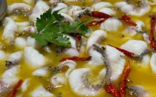 水煮活鱼怎么做_水煮活鱼用什么鱼最好