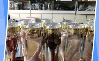 鹿鞭酒配方_鹿鞭酒怎么泡效果最好