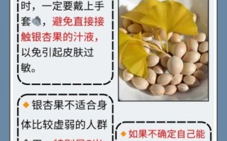 银杏果有毒吗_银杏果怎么吃才安全
