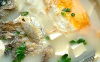 鲫鱼炖豆腐的家常做法_鲫鱼炖豆腐怎么做不腥