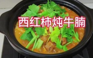 牛腩肉怎么煮容易烂_牛腩肉怎样煮最软烂