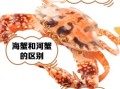 海蟹死后多久不能吃_死海蟹多久有毒