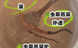 虫草炖燕窝的功效与作用_适合什么人吃