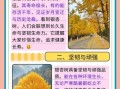 银杏树寓意是什么_银杏树风水作用