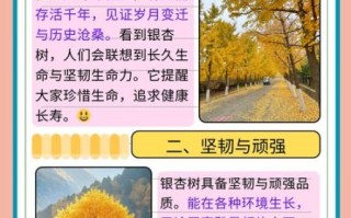 银杏树寓意是什么_银杏树风水作用