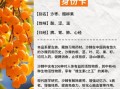 沙棘果干怎么吃最好_沙棘果干一天吃多少合适