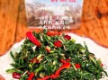 野生苦菜怎么吃_野生苦菜凉拌还是炒