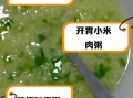 青菜瘦肉粥的功效_适合什么人喝