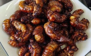 炸知了猴怎么做好吃_炸知了猴的做法步骤