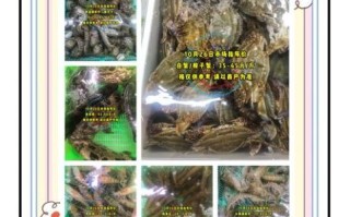 蓝花蟹多少钱一斤_蓝花蟹价格为什么波动大